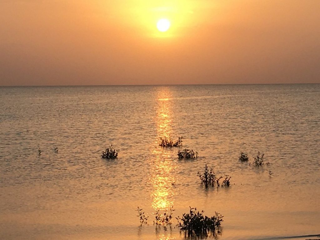 Discover the Best Barbecue Locations in Qatar | Hyak Qatar